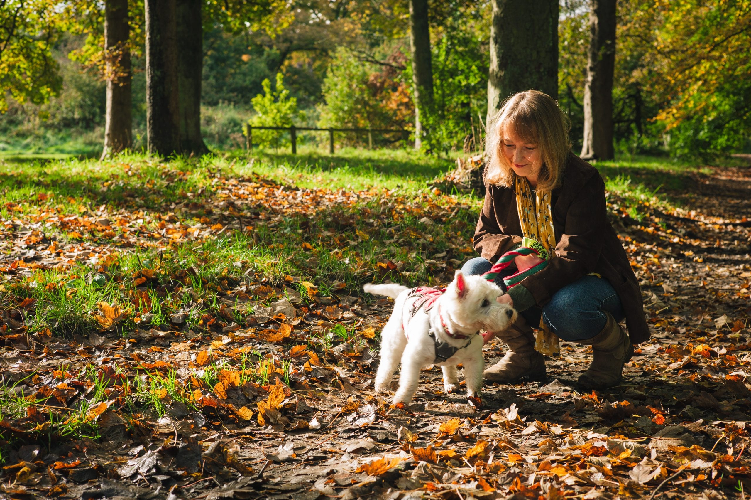 Voiceover work & human connection in practice - a case study. | Sara ...